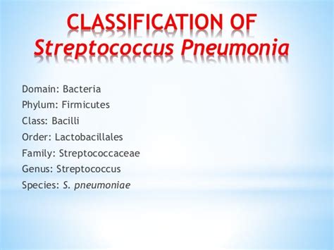 Streptococcus Pneumonia