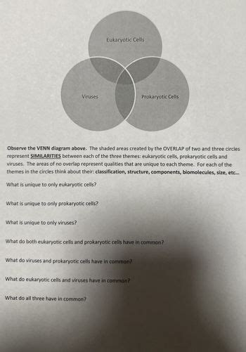 Answered Eukaryotic Cells Viruses Prokaryotic Cells Observe The VENN