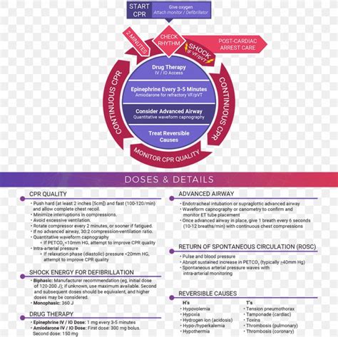 Advanced Cardiac Life Support Algorithm Cardiac Arrest Basic Life Support American Heart