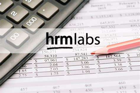 how hrmlabs helps with ir8a submission hrmlabs