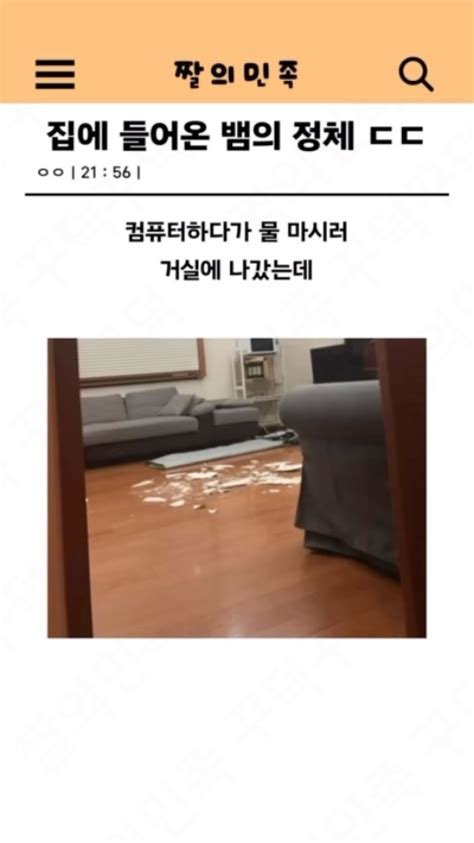 짤의 민족 집주인이 보증금 안돌려줄때 해결법 유머 짤 재미 짤방 웃긴짤 유머짤 짤스타그램 짤모음 썰 썰스타그램 썰파 팔로우 팔로우미 팔로미