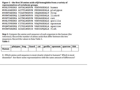 Hemoglobin Amino Acid Sequence Chart