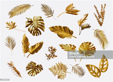 금 몬스터는 흰색 배경에 고립 된 식물 프레임을 떠난다 맨 위 보기입니다 복사 공간을 복사합니다 추상적인 흰색 배경에 대한 스톡 사진 및 기타 이미지 Istock