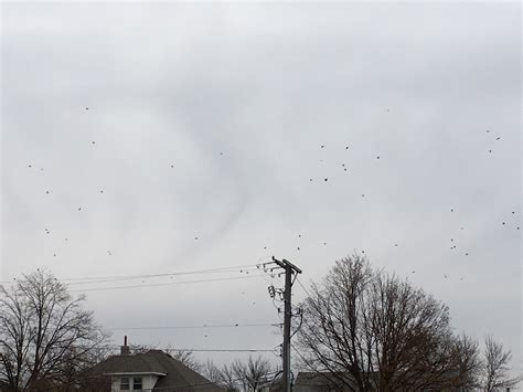 Who Will Make Me Laugh Remember Alfred Hitchcocks Movie The Birds