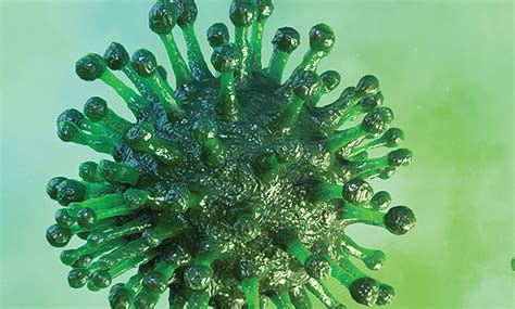 What To Consider When Choosing A SARS CoV 2 Detection Assay