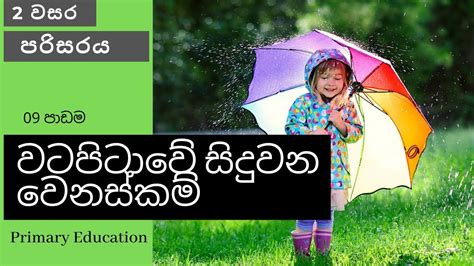 වටපිටාවේ සිදුවන වෙනස්කම් 2 වසර පරිසරය Youtube