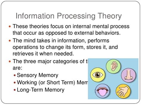 Information Processing Model At Frank Thill Blog