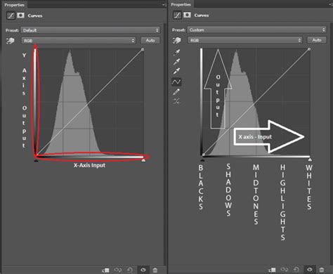 How To Use Curves In Photoshop