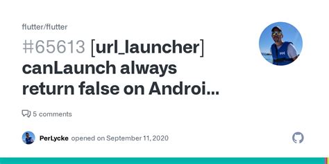 [url launcher] canlaunch always return false on android 11 using app with targetsdkversion 30