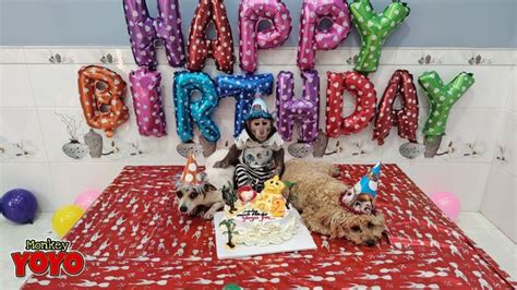 Pin On Itsy Bitys Teeny Weenie