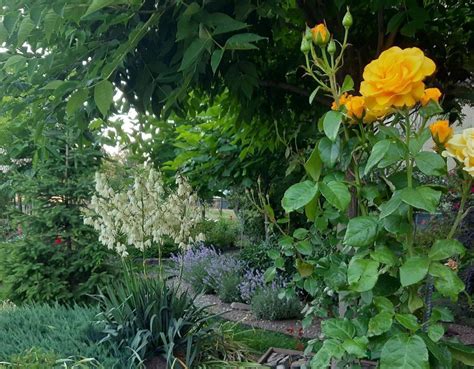 Вечірній Київ Вечірній Київ Added A New Photo