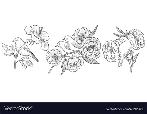 Drawing Birds At Tree Branch With Flower Vector Image