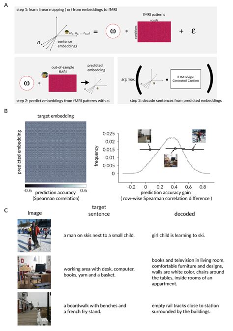 Whole Brain Fmri Brain Reading A Simple Linear Nearest Neighbour