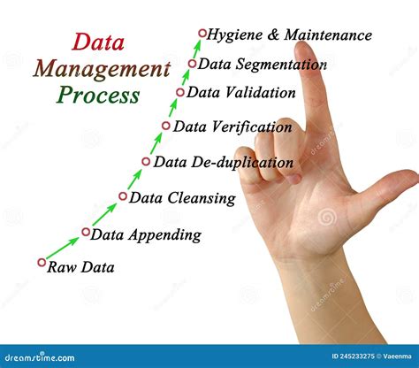 Data Management Process Stock Image Image Of Deduplication 245233275