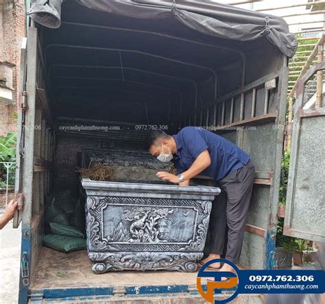 Chậu Xi Măng Vuông 1m Chân Quỳ Cây Cảnh Phạm Thương