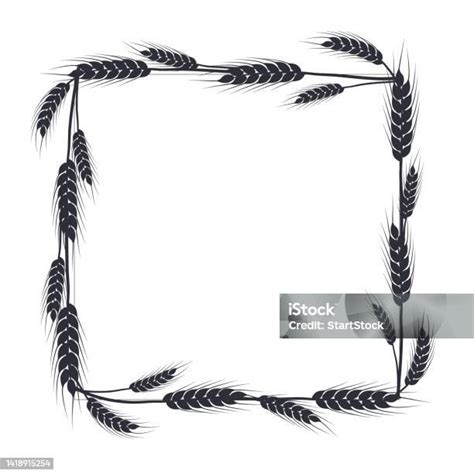 밀 귀리 호밀 또는 보리 사각형 실루엣 시리얼 식물 경계 검은 스파이크 렛이있는 농업 프레임 디자인 맥주 빵 밀가루 포장을위한 배너 가라지에 대한 스톡 벡터 아트 및 기타