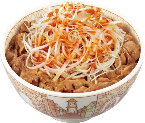 『すき家』の過去レギュラーメニューが復刻！「白髪ねぎ牛丼」が限定発売中 Favy ファビー