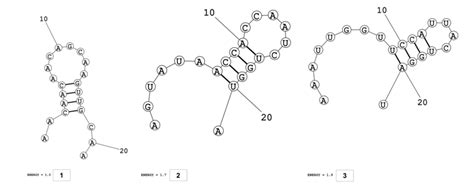Secondary Structures And Mfe Of Sirna Molecules Targeting Orf3a Download Scientific Diagram