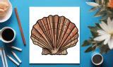 How To Draw A Seashell Learn To Create Some Coastal Charm