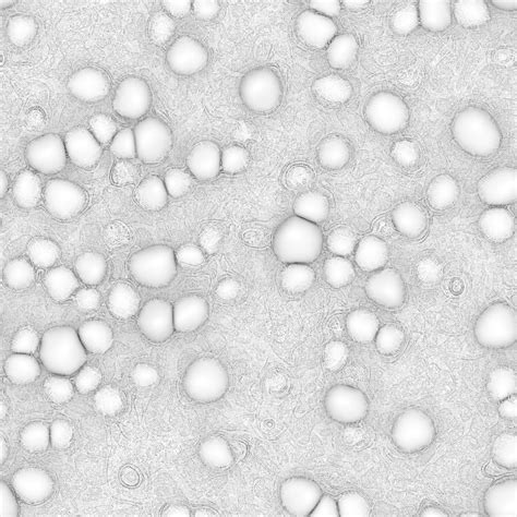 Red Biomass Pbr Texture