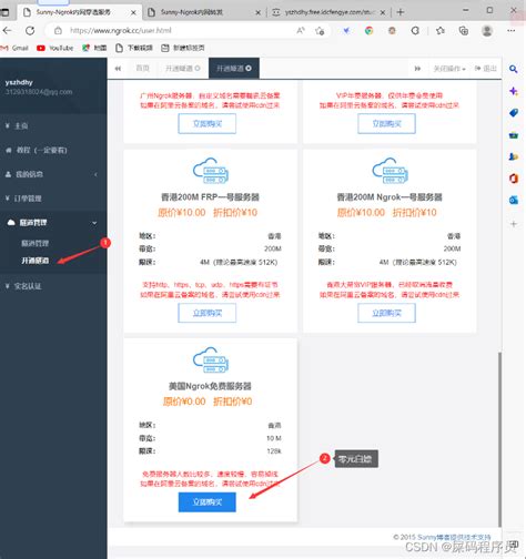 ngrok内网穿透教程 csdn博客