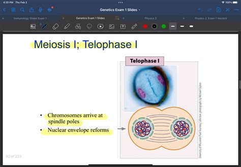 Genetics Lecture Notes BIOL 3451 Studocu