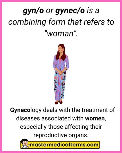 Gyno Gyneco Master Medical Terms