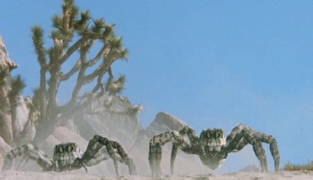 Spiders Movie Database Wiki Fandom