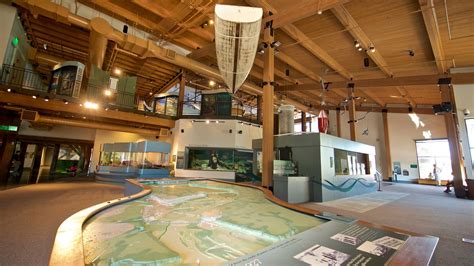 National Mississippi River Museum And Aquarium Dubuque Holiday