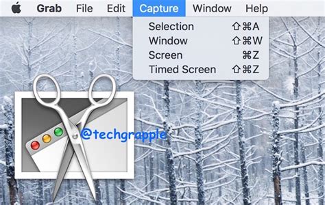 Many Ways To Capture A Screenshot On Mac OS X