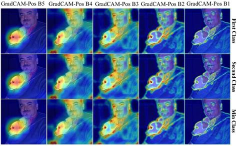 Saliency Maps For Different Output Predictions Rows Using Gradcam