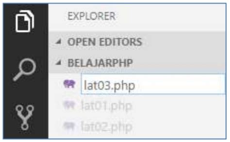 Mengenal Variabel Pada PHP Spesialis Web