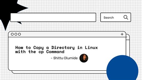 Linux Freecodecamp Org