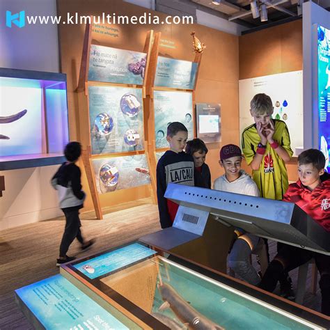 Interactive Museum Exhibits Display Exhibition Ideas And Design