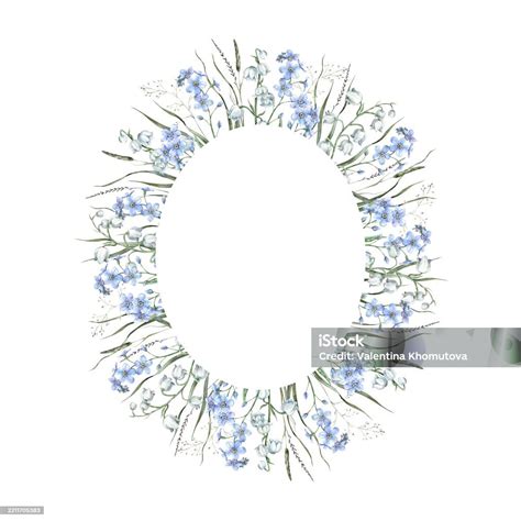 푸른 물망초 계곡의 흰 백합 다양한 야생 허브와 나뭇 가지의 타원형 꽃 프레임 에코 브랜딩 포장 카드 결혼식 및 휴일 디자인을 위한 수채화 식물 프레임 0명에 대한 스톡