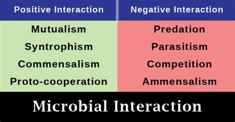 Microbial Interaction And Its Types With Examples