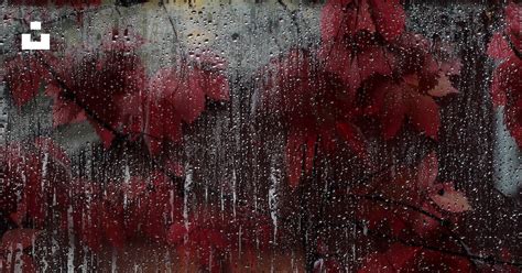 빨간색과 흰색 추상적 인 그림 사진 Unsplash의 무료 배경 이미지