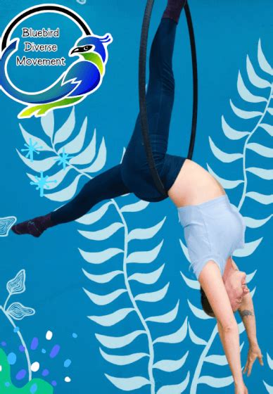 Beginner Lyra Class Sydney Ts Classbento