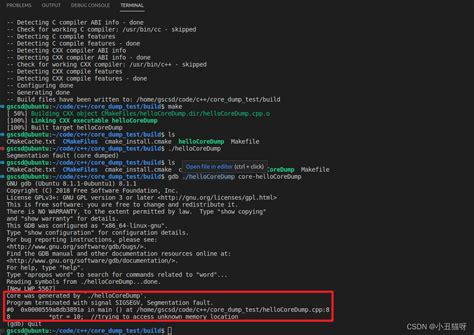 Ubuntu C 程序查找 Segmentation Fault Core Dump错误ubuntu20中程序到ubuntu18中