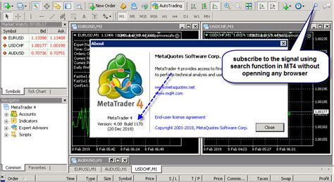 Mql4 Protocol Not Working Windows 81 Mt4 General Mql5