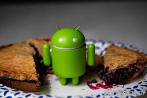 Android 9 0 Pie Name Release Date Features And More