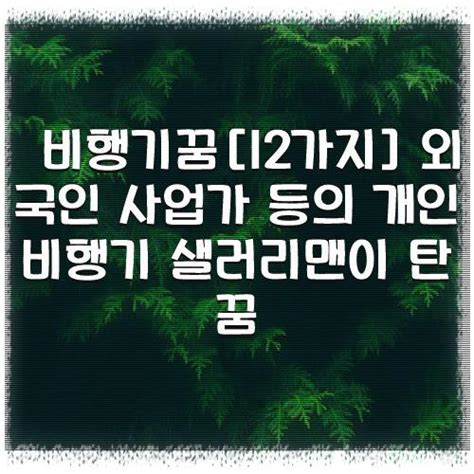 비행기꿈 12가지 외국인 사업가 등의 개인 비행기 샐러리맨이 탄꿈