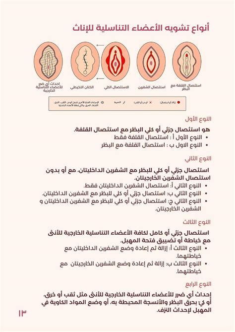انتِ غالية دليل و كتيب حول تشويه الأعضاء التناسلية للإناث By Ifmsa