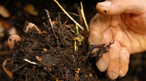 Hot Tips For Getting Your Compost Pile Cooking Grist