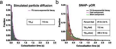Dimerization Kinetics And Correction For Random Co Localization A Download Scientific