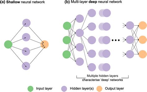 A Schematic Of Neural Network Architecture For A A Shallow Neural
