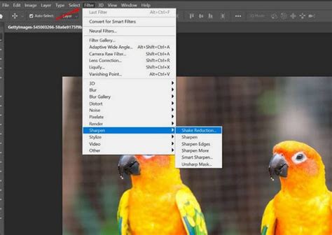 9 Photo Editors To Unblur An Image And Enhance The Quality