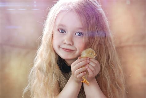 Фото Девочка держит в руках цыпленка By Baekhatinya