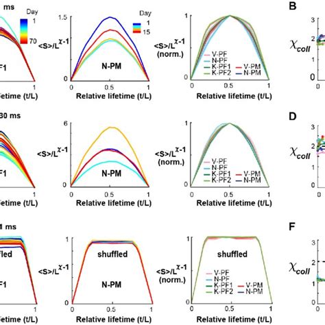 Renormalization Collapse Of Neuronal Avalanche Temporal Profiles And