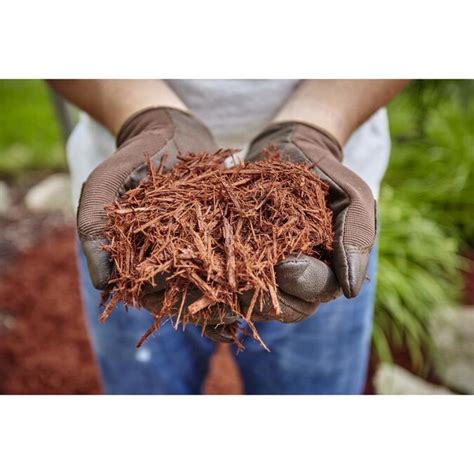 Scotts Florida Select 2 Cu Ft Red Mulch In The Bagged Mulch Department